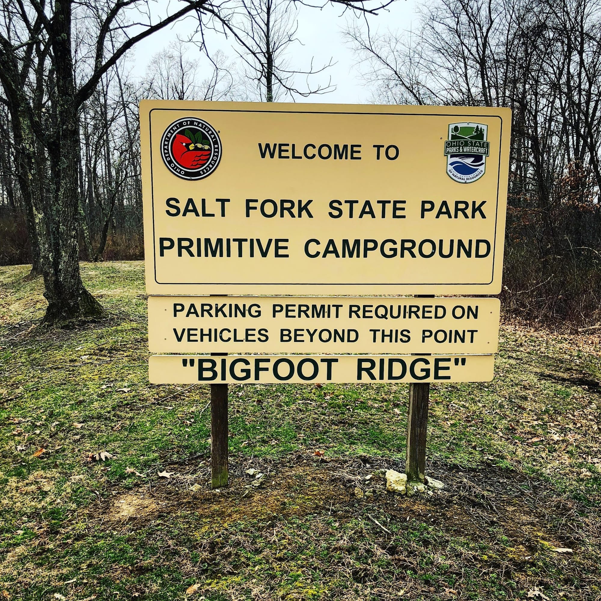 Salt Fork State Park