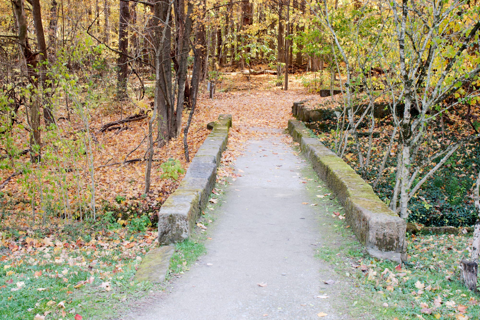 Chestnut Ridge Metro Park