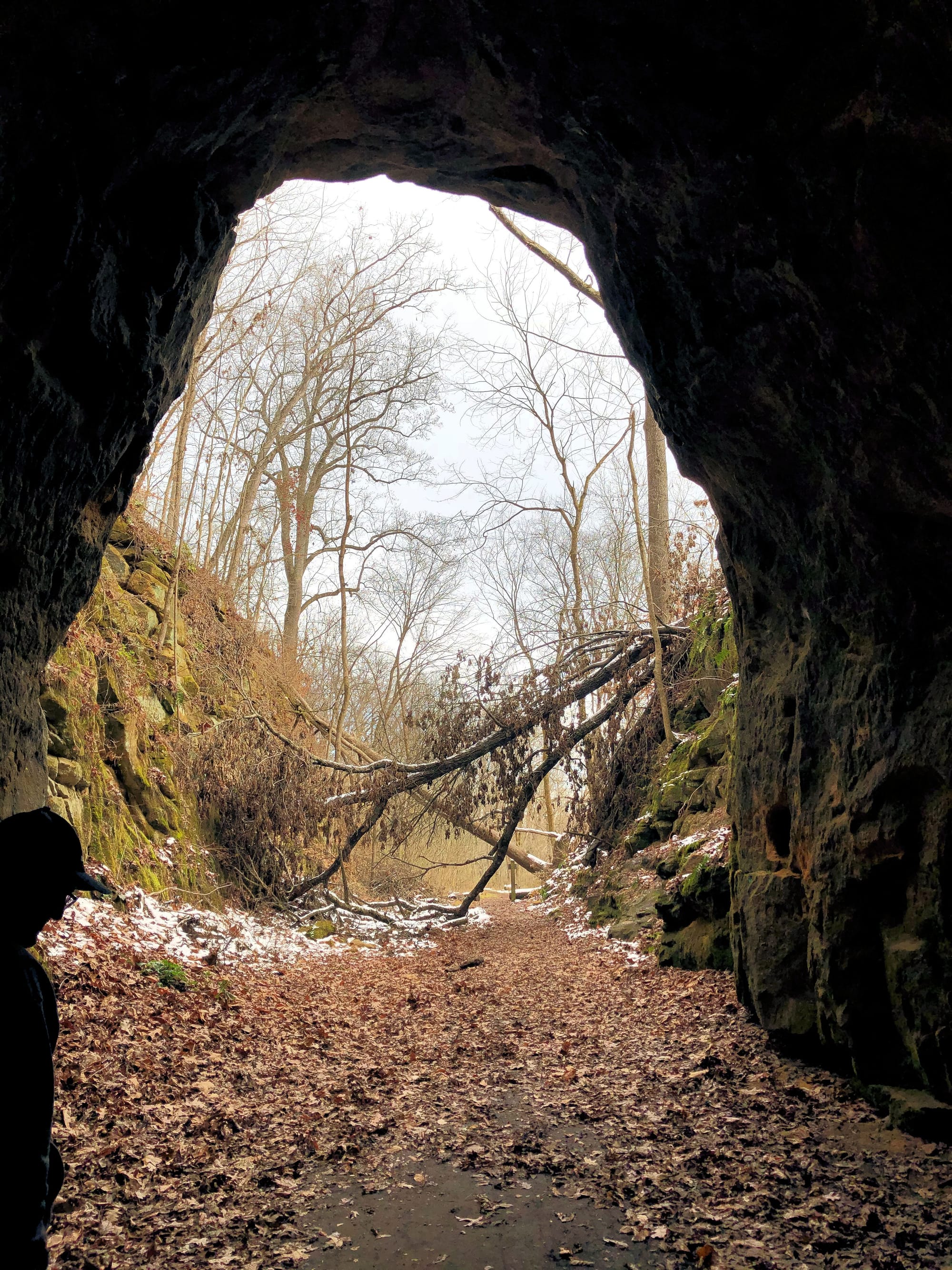 Blackhand Gorge State Nature Preserve