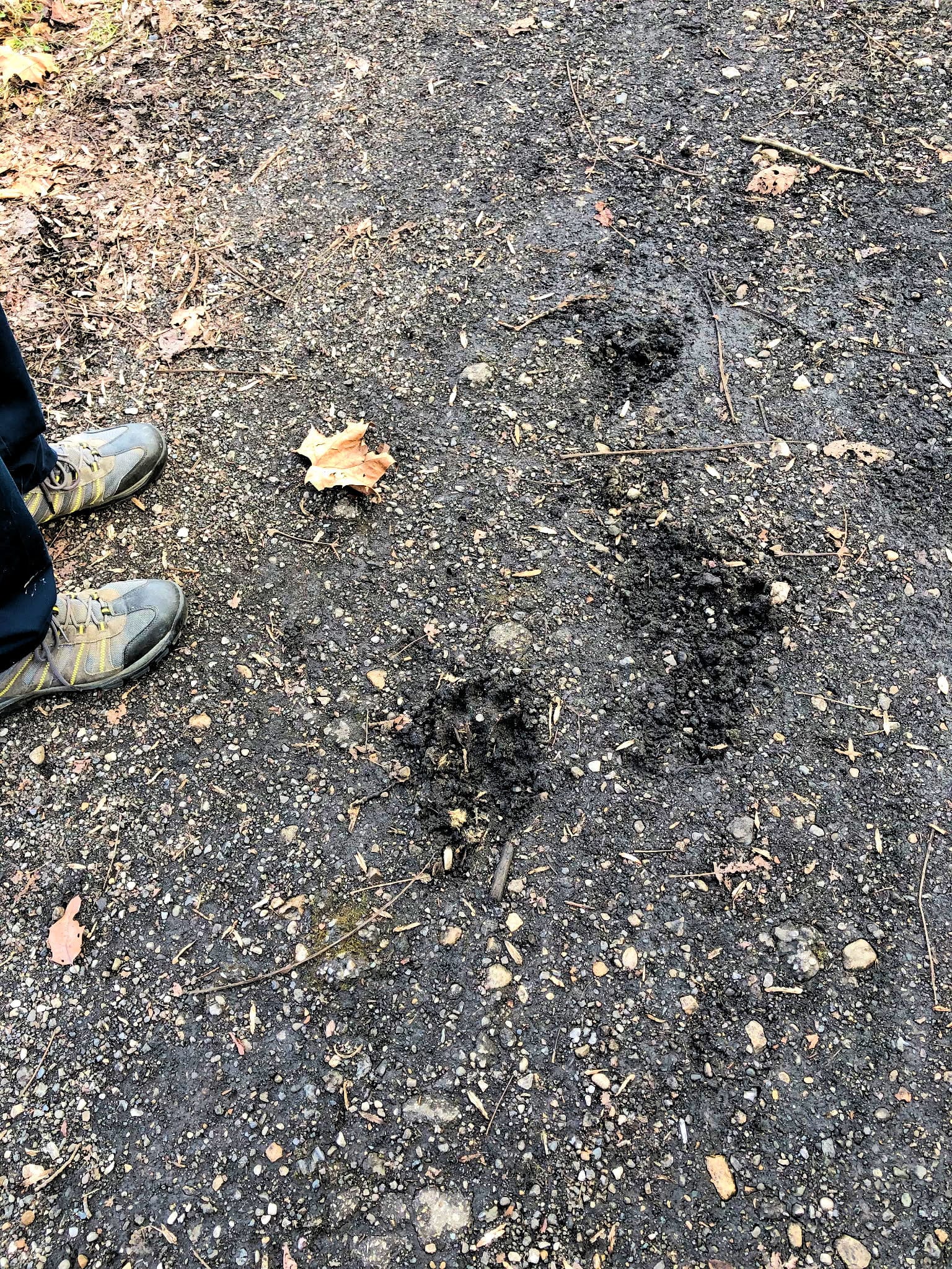 Blackhand Gorge State Nature Preserve