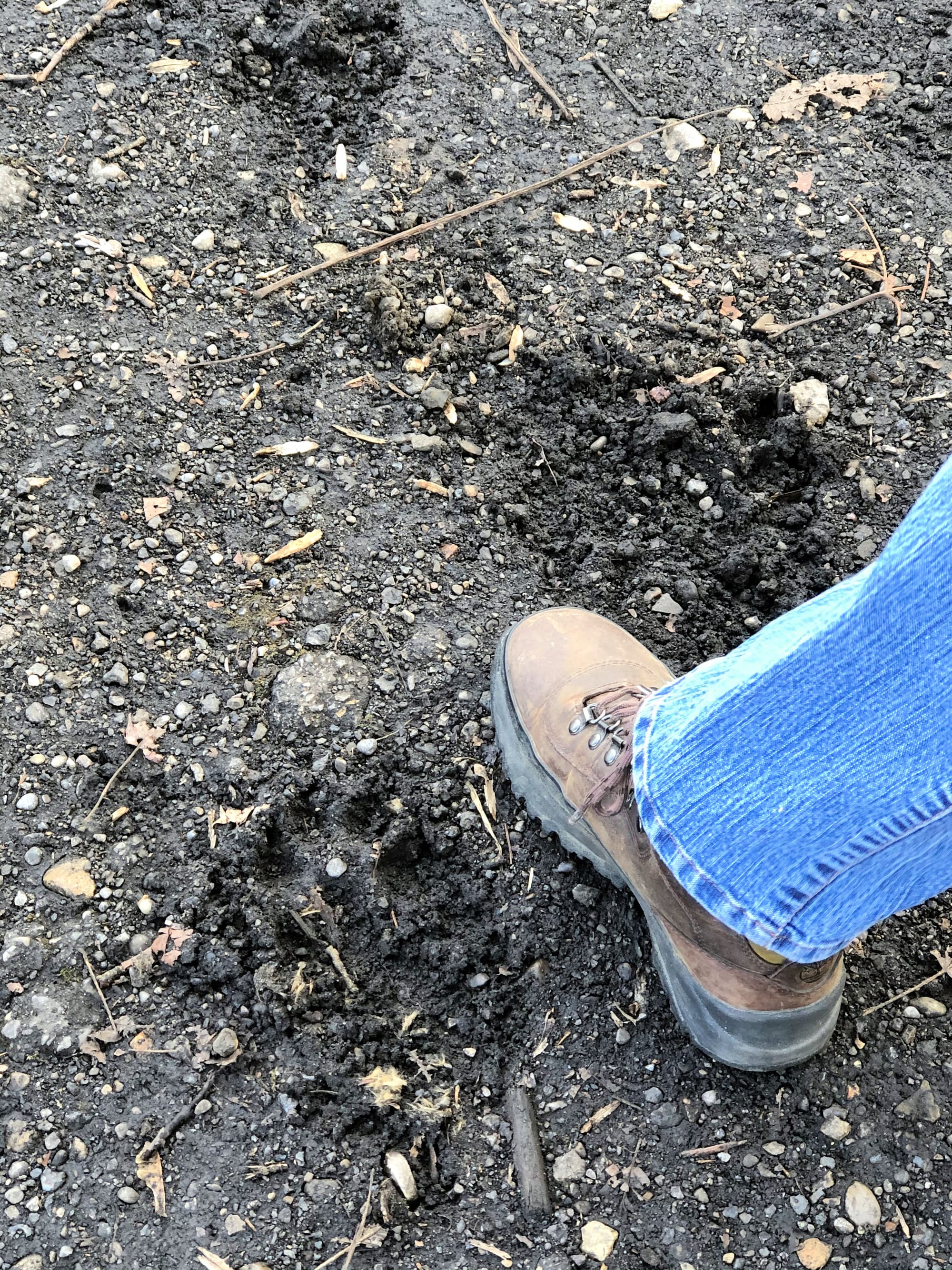 Blackhand Gorge State Nature Preserve