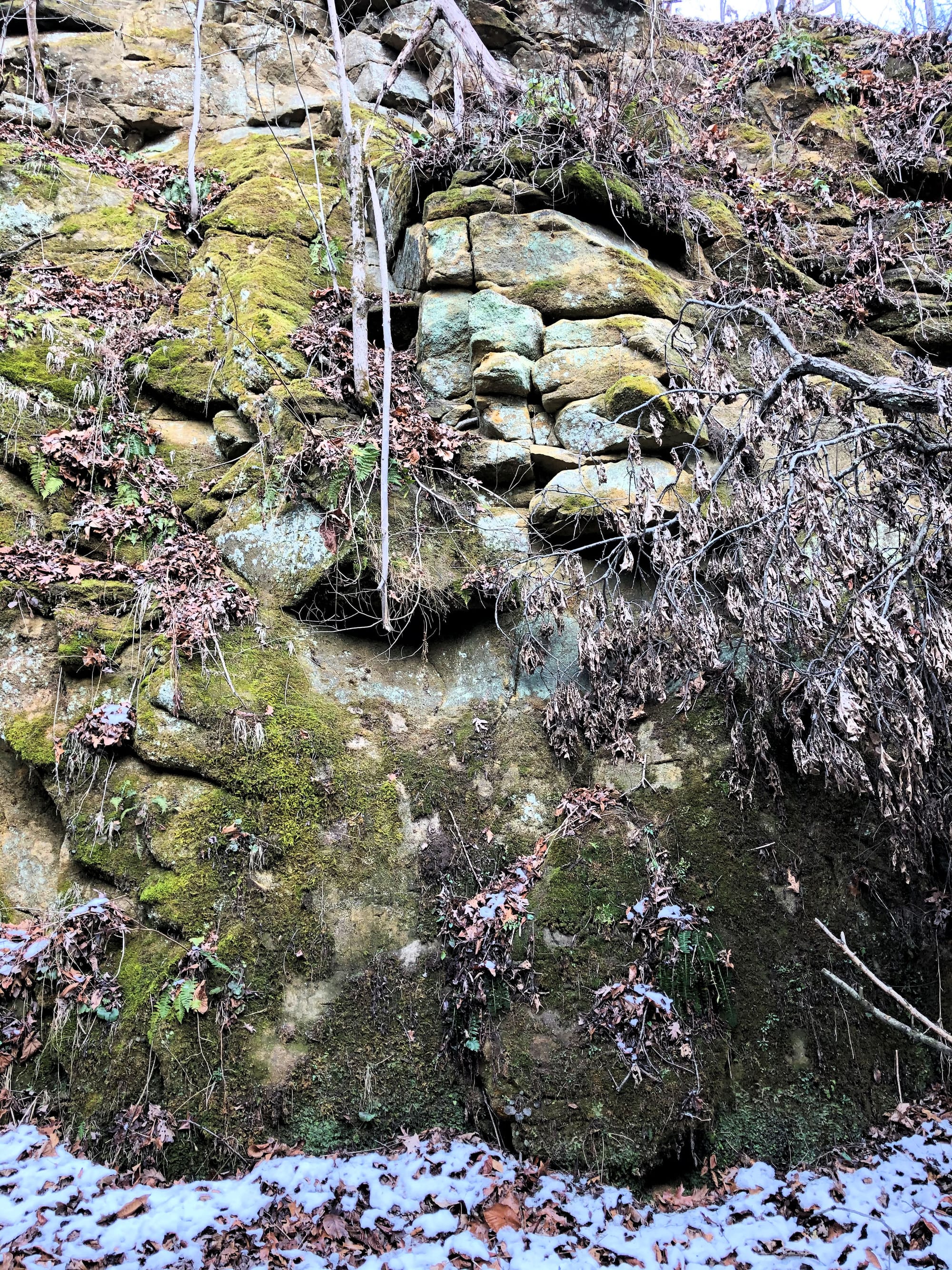 Blackhand Gorge State Nature Preserve
