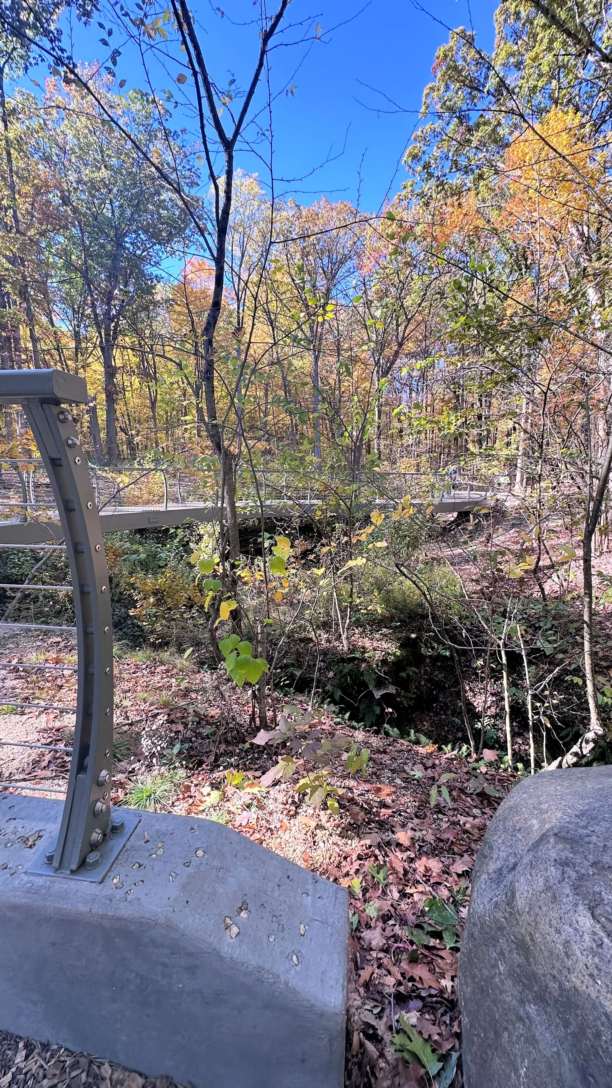 Nelson Kennedy Ledges State Park