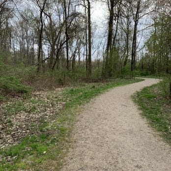 Dog-Friendly Hiking Trails in Ohio: 10 Tested Favorites